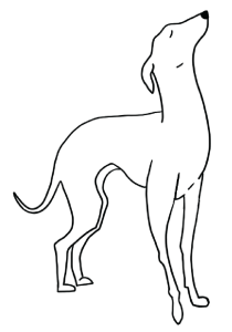 Hound Inc. sewing patterns – Unleash your creativity